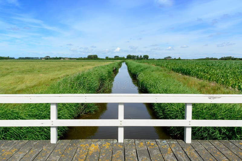 Lowland Around Domburg in Holland Stock Image - Image of color, domburg ...