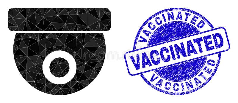 Scratched Vaccinated Round Stamp and CCTV Camera Low-Poly Icon Stock ...
