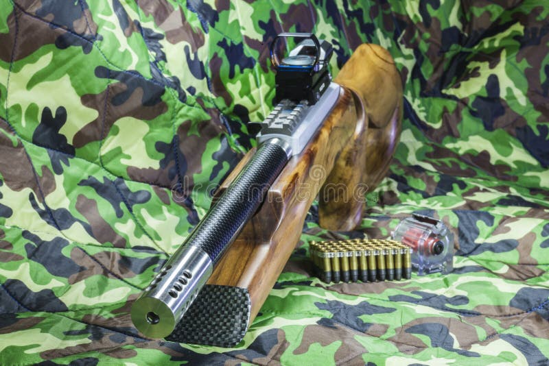 22 LR Het Geweer Van De Karabijnbout Stock Foto - Image of gezicht ...