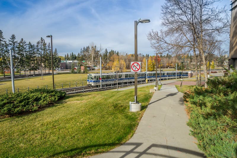 Light Rail Transit In Edmonton Stock Photo - Image of scenery, tour ...