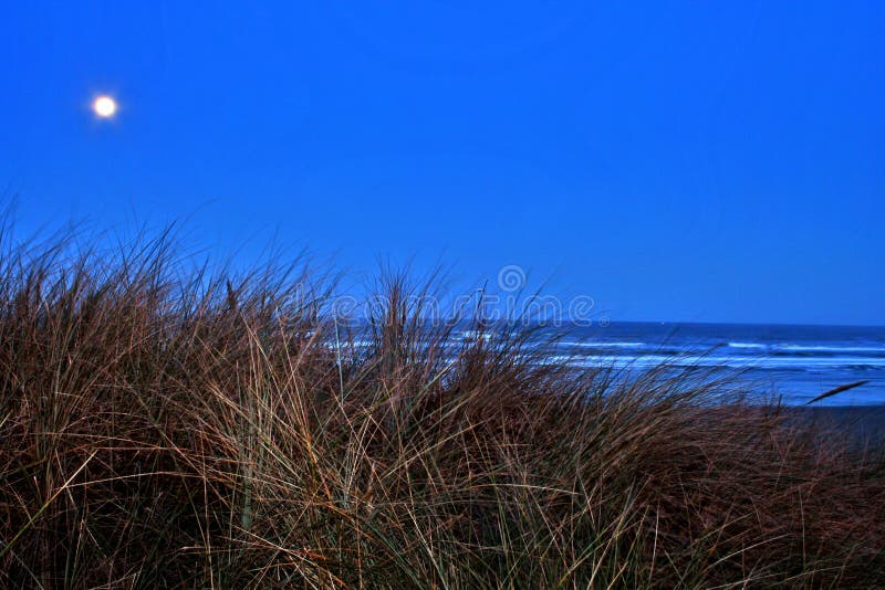 Lua Cheia Sobre a Praia De Newport Imagem de Stock - Imagem de oceano ...