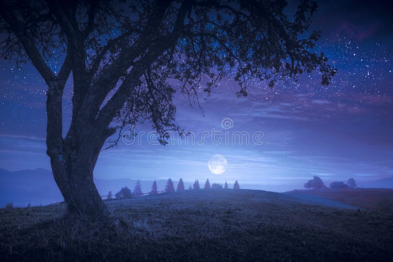 A Lua Cheia Que Aumenta Em Um Vale Da Montanha Carpathian Imagem de ...