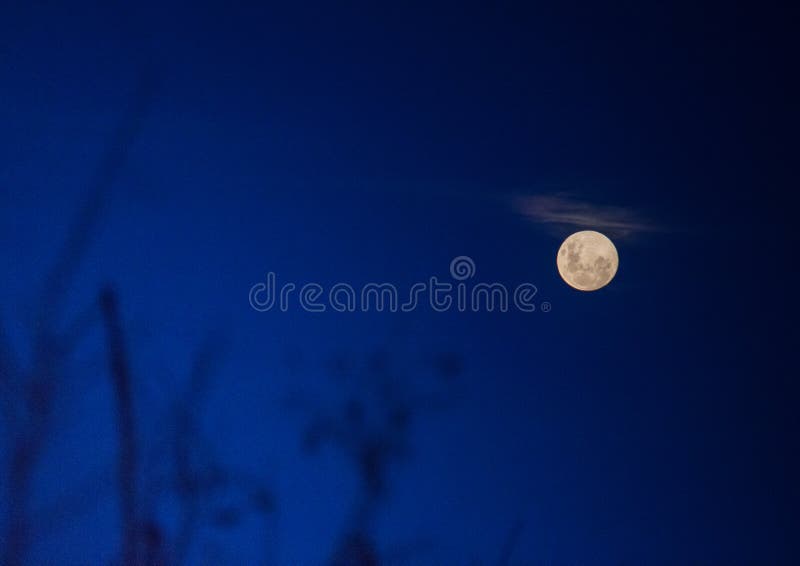 Lua Cheia Sobre O Parque Nacional Hlane-real Imagem de Stock - Imagem ...