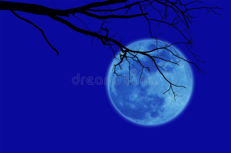 Lua preta da árvore ilustração stock. Ilustração de seco - 90536654