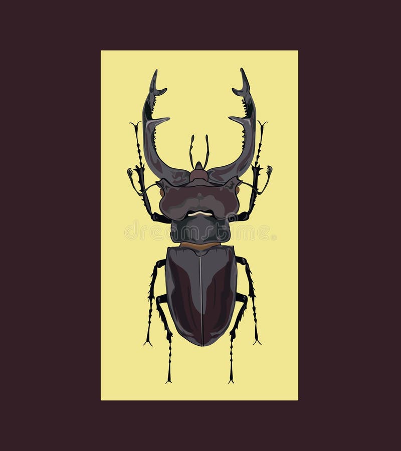 Lucanus Cervus Illustration Stock Illustration - Illustration of ...