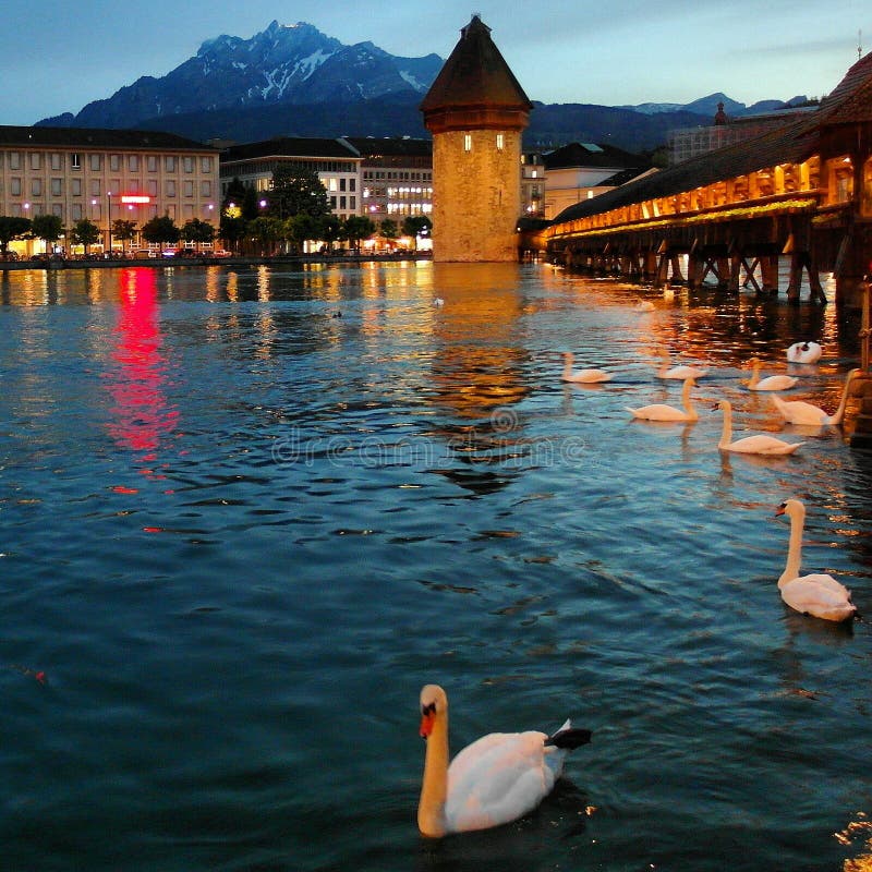 Lucerne stock afbeelding. Image of avond, zwitserland - 163550071