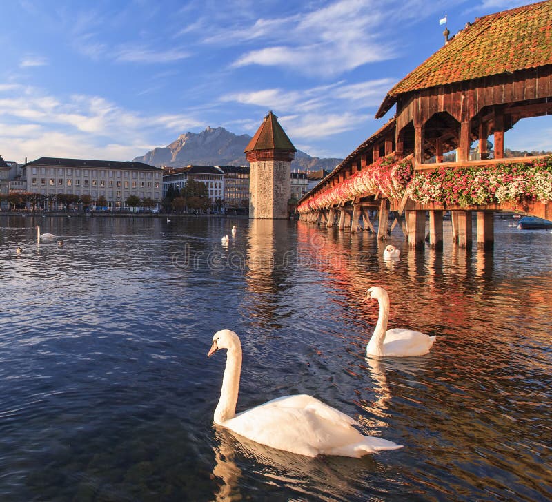 Lucerne, the Chapel Bridge stock image. Image of pier - 34660191