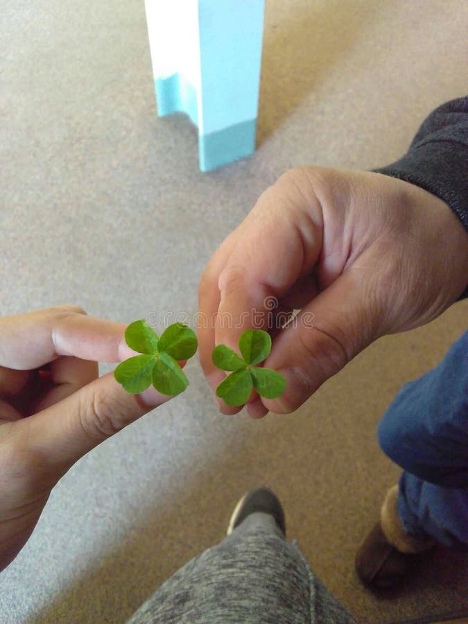 Luck stock image. Image of friend, little, luck, everyone - 115355457