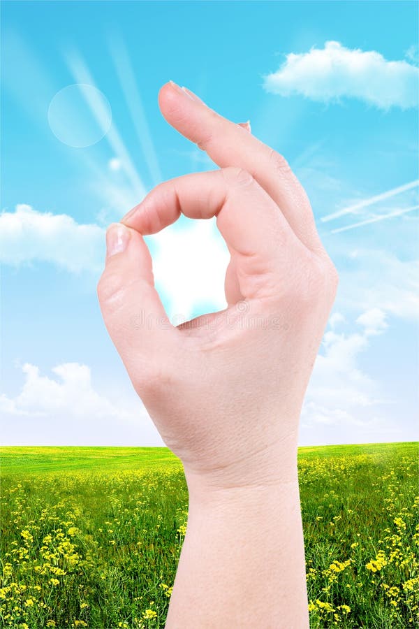 Luck. Palm and nature stock image. Image of success, tree - 24760479