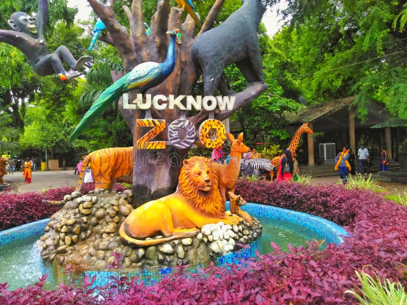 Utter Pradesh India, Lucknow Zoo Stock Photo - Image of india, indira ...