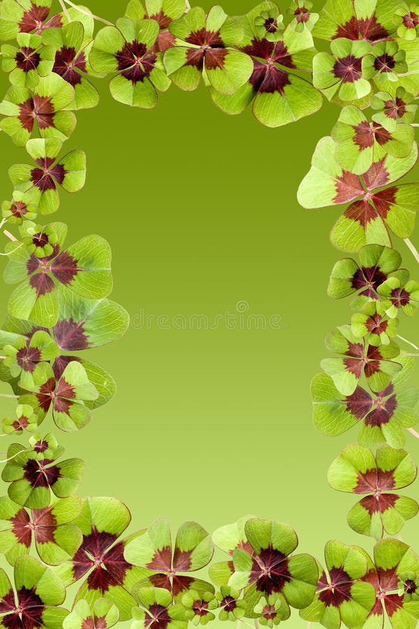 The Ukrainian chinks stock photo. Image of patrick, full - 12120574