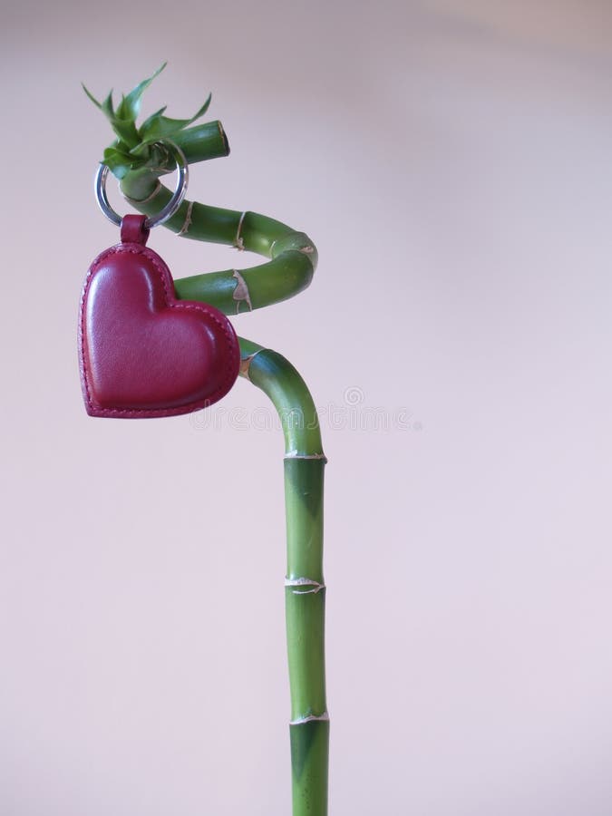 Lucky Love - Love Heart & Bamboo Stick 1 Stock Image - Image of simple ...