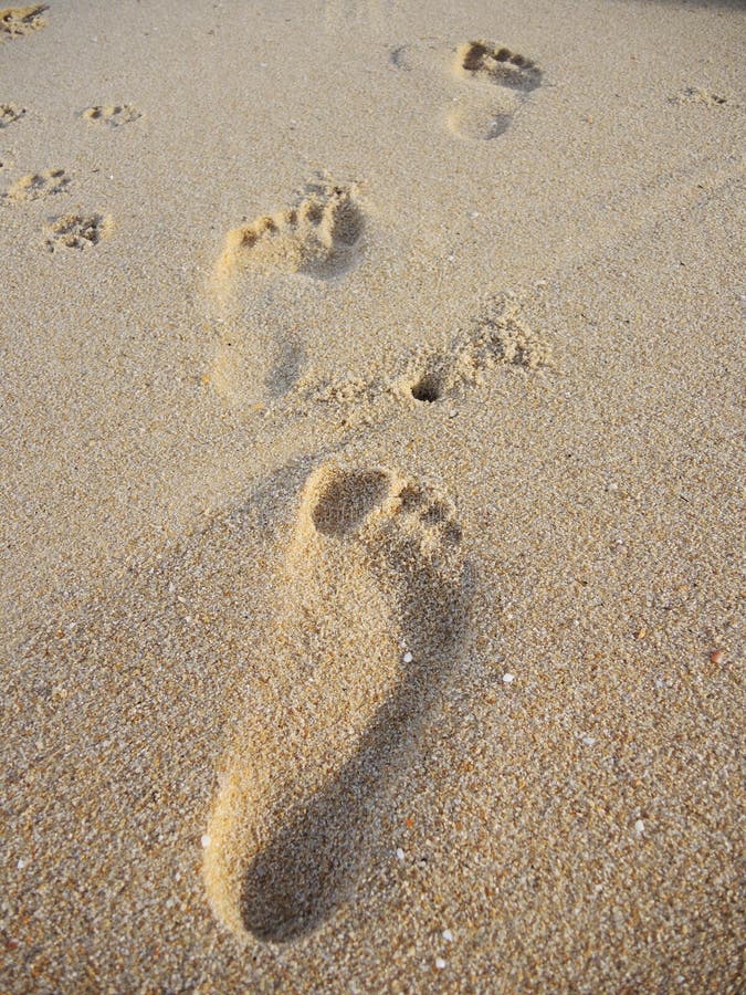 Ludzki Odcisk Stopy W śniegu Obraz Stock - Obraz złożonej z sezon ...