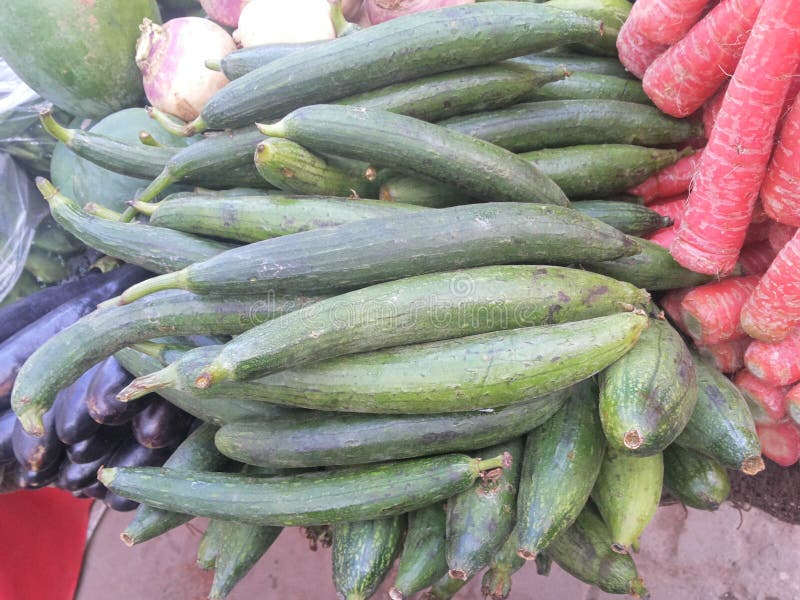 Luffa stock photo. Image of vegetables, luffa, vegetable - 62390608