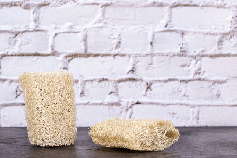 Luffa Operculata - Fibrous Vegetable Cleaning Sponge Stock Image ...