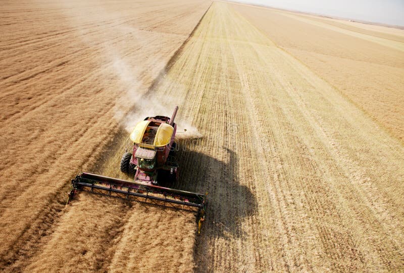 Luftaufnahme Der Ernte Auf Dem Gebiet Stockfoto - Bild von organisch ...