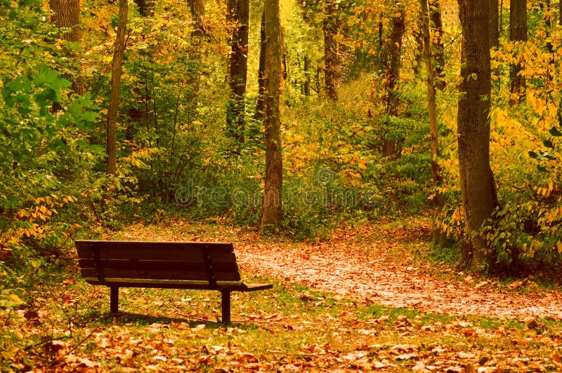 Lugar quieto do zen foto de stock. Imagem de montanha - 1629754