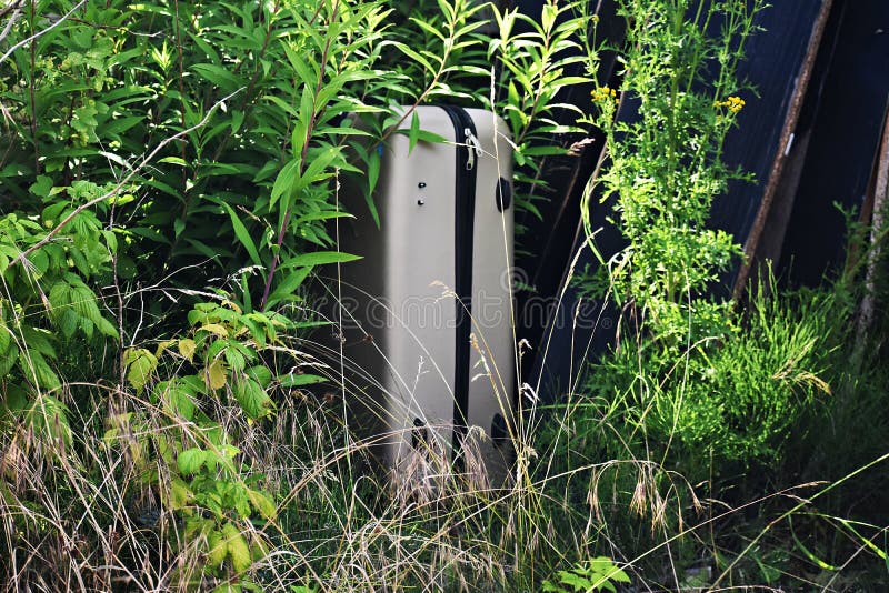 A Luggage Hidden in the Grass. Stock Image - Image of ground, plant ...