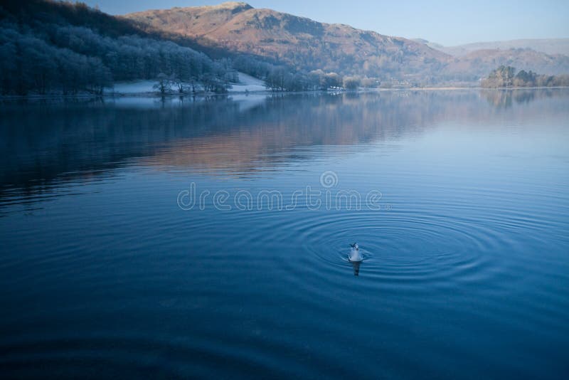 Lugna lake arkivfoto. Bild av fridsamt, abstrakt, roman - 5256556
