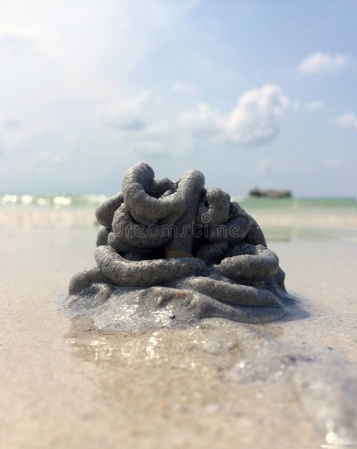 Lugworm pile on the beach stock image. Image of animals - 16581553