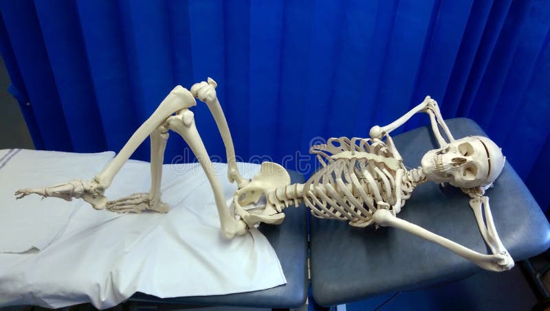 Luie beenderen stock foto. Image of menselijk, metacarpals - 58936270