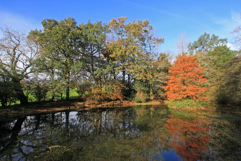Lukesland Gardens, Devon stock image. Image of devon - 48602447