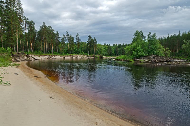Lukh river (Russia) stock photo. Image of pine, tree - 35515250