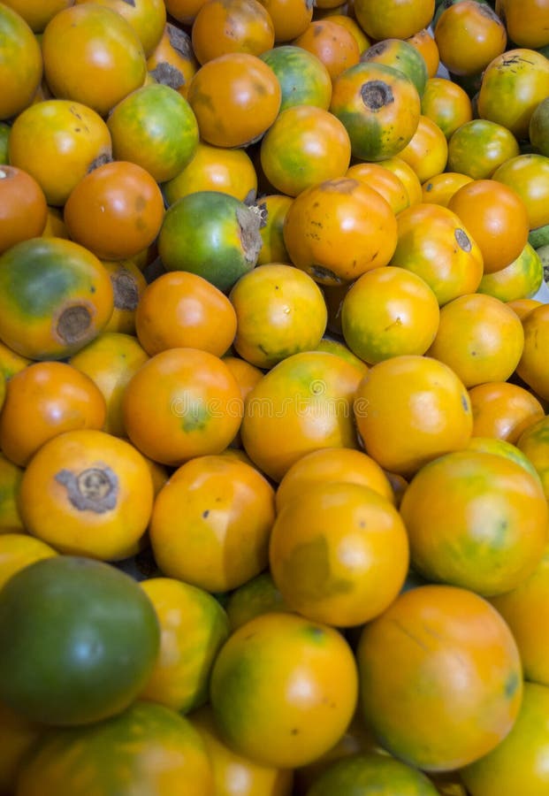 Lulo fruit. stock image. Image of mexico, freshness - 110468533