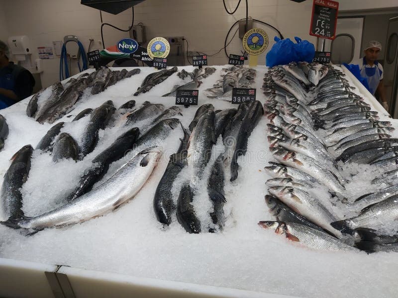 LULU Fish Market in Doha Qatar Editorial Image - Image of doha ...