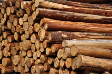 Lumber stock image. Image of south, chinese, timber, lumber - 11899909