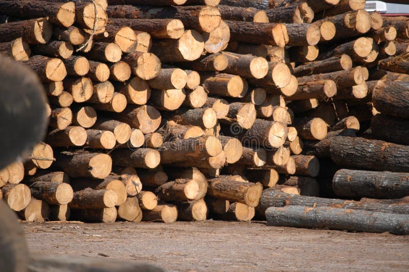 Lumber stock photo. Image of work, business, industry - 2033648