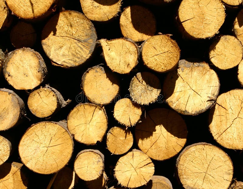 Lumber Picture. Image: 2360995
