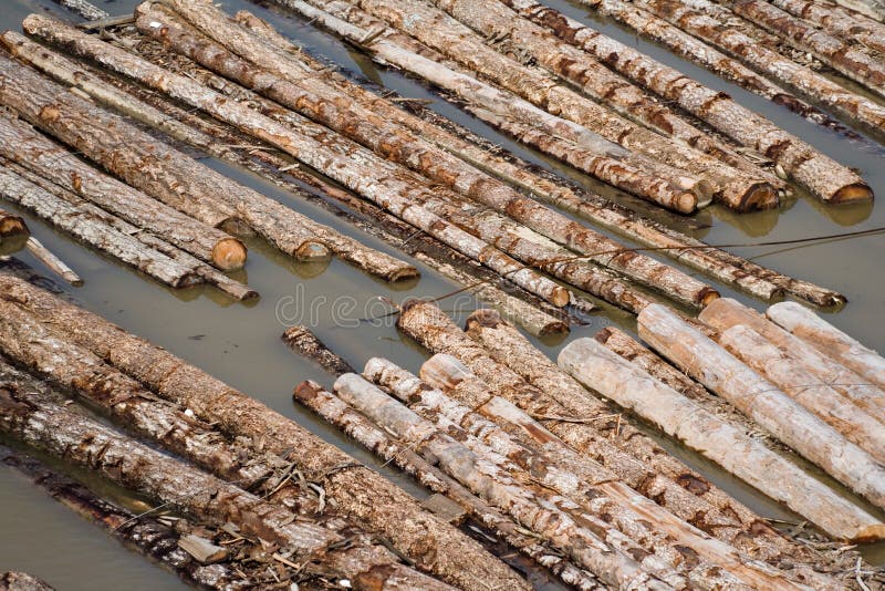 Lumber stock photo. Image of water, lumber, columbia, trunk - 9438646
