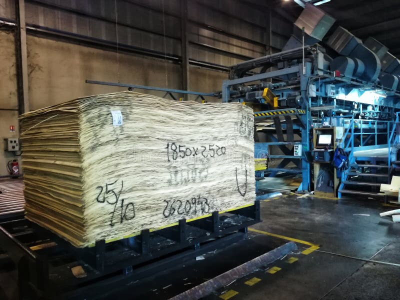 Lumber Being Processed at a Factory Stock Photo - Image of industry ...