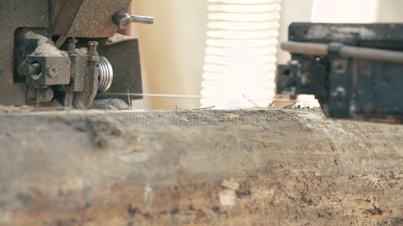 Lumber Industry - Conveyors of Logs in Front of Cutting Machines. Stock ...