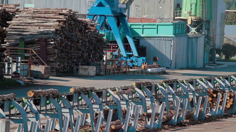 Lumber Industry Conveyors of Logs Sorting Machine Stock Footage - Video ...