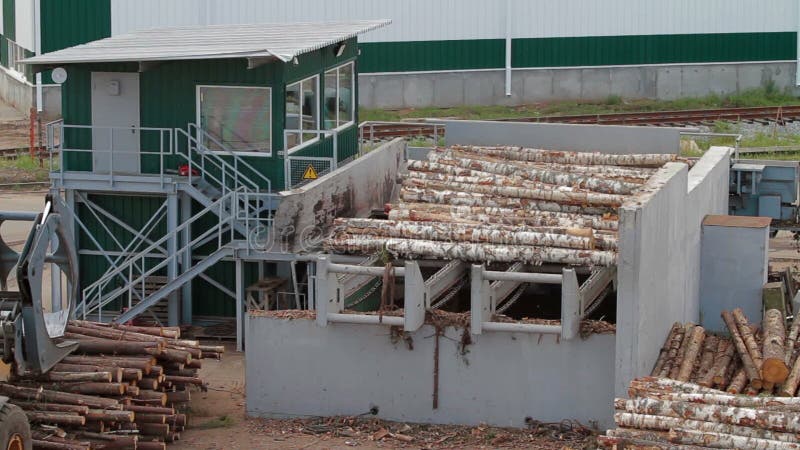 Lumber Industry Conveyors of Logs Sorting Machine Stock Footage - Video ...