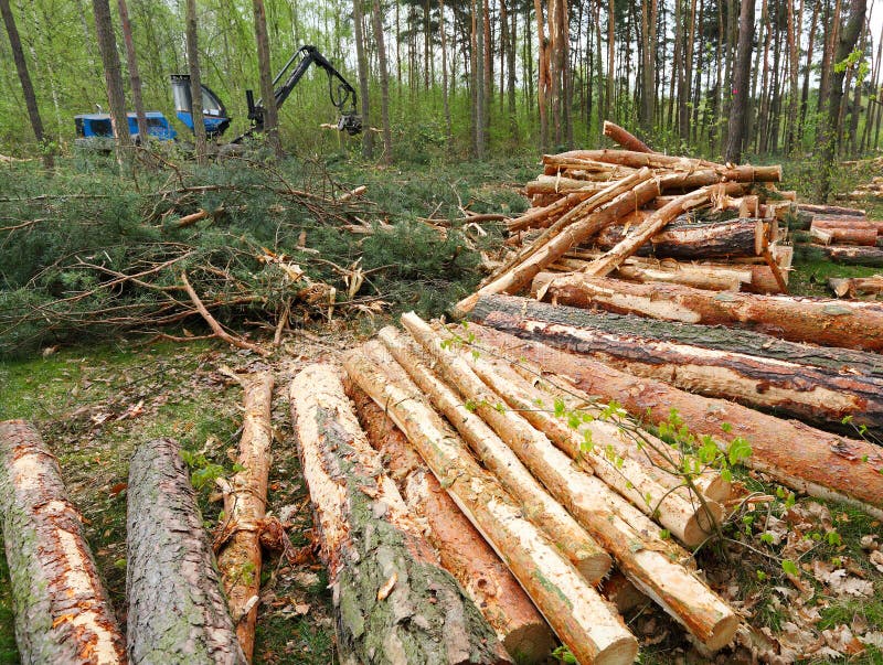 Extensive logging stock image. Image of global, environmental - 22544707