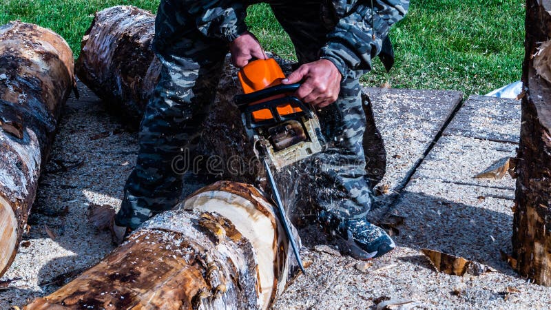 Lumber, a Man Cuts a Tree with a Chainsaw Stock Photo - Image of ...