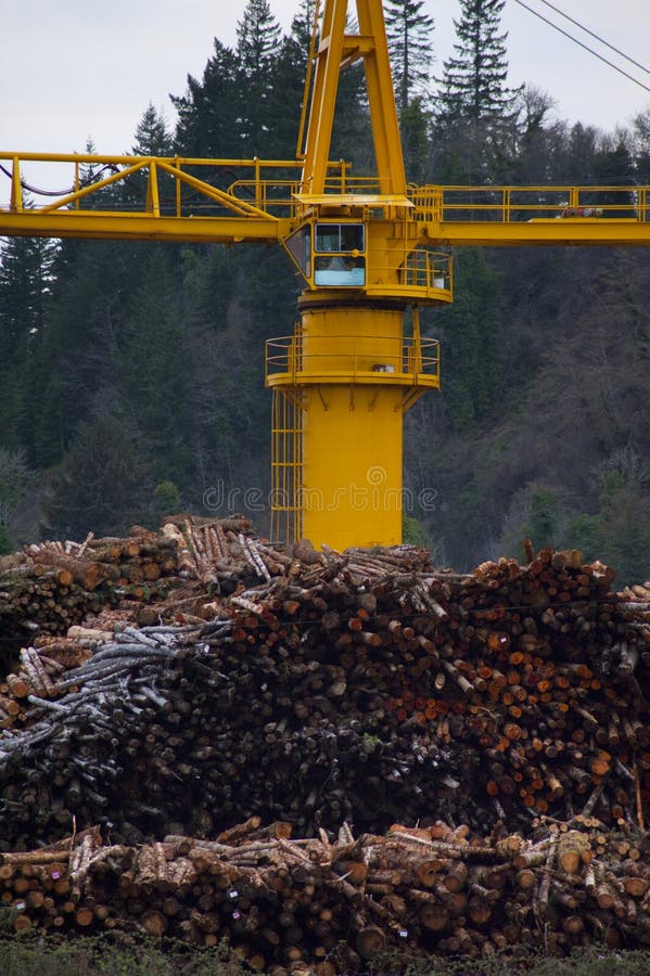 Paper mill stock photo. Image of paper, manufacturing - 3098342