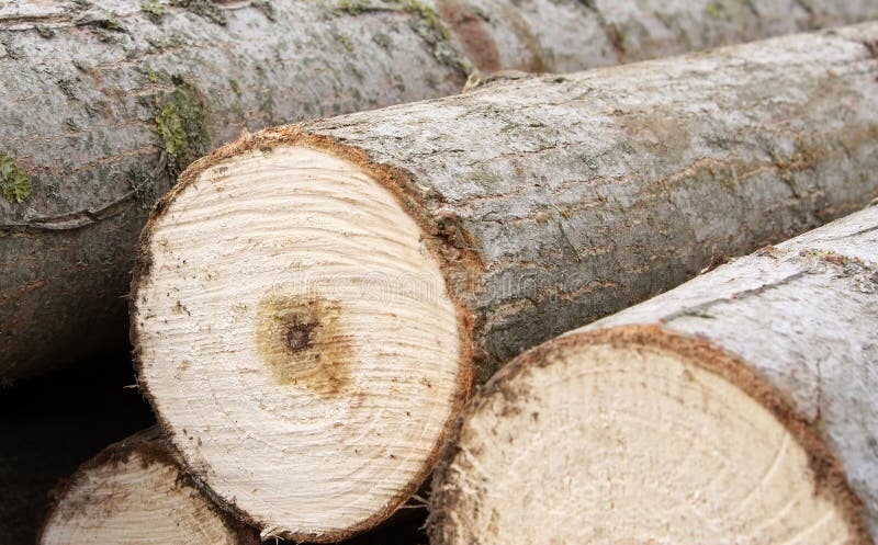 Lumber pile stock photo. Image of energy, paper, woodpile - 20403596