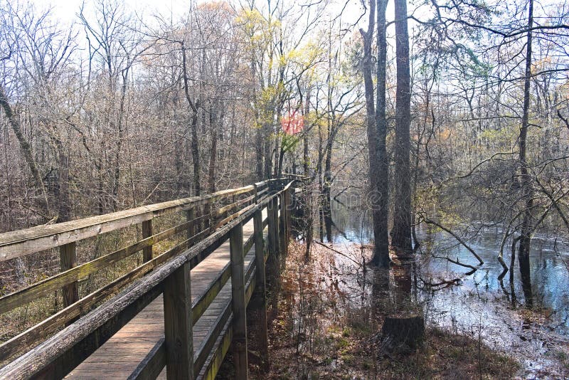 Lumber River Riverwalk Along the Edge of the River Stock Photo - Image ...