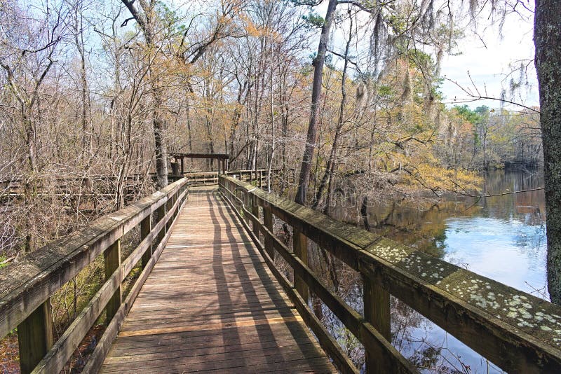 Lumber River Riverwalk Boardwalk Split Stock Image - Image of exercise ...