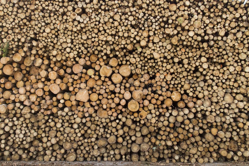 Lumber stack stock photo. Image of rustic, firewood, lumberjack - 25648108