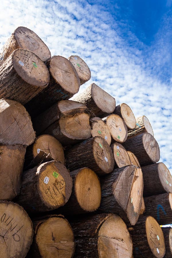 Lumber stock image. Image of stocked, lumber, wood, logs - 43290877