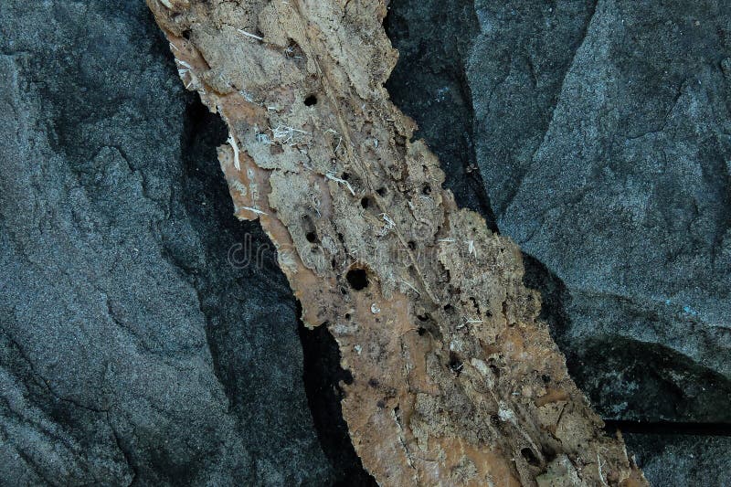 Lumber on the stone wall stock photo. Image of environment - 71974882