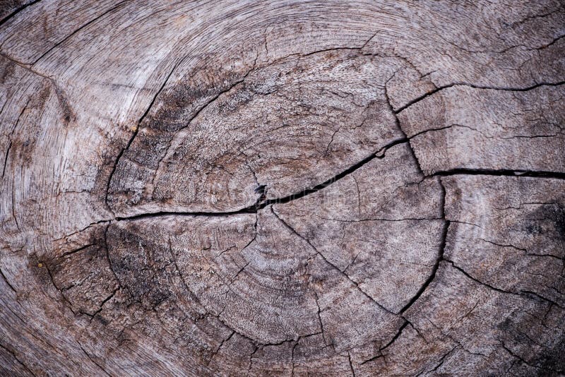 Lumber Surface Tree Texture Stock Image - Image of floor, texture: 70841045