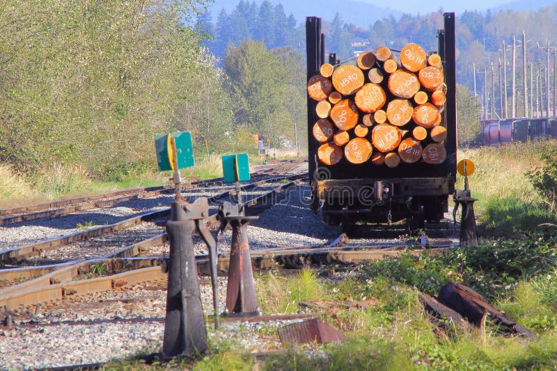 Lumber Train Car stock image. Image of rail, lumber, train - 59191033