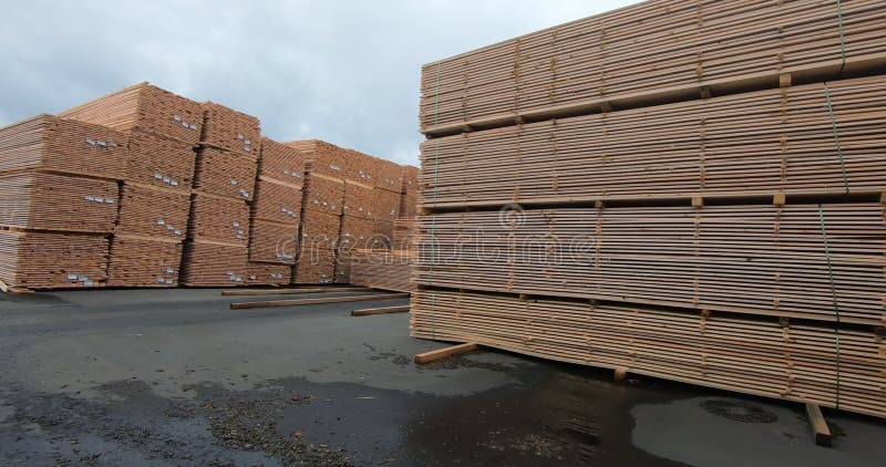 Lumber Warehouse. Stacks of Industrial Wood, Pine Lumber in the ...