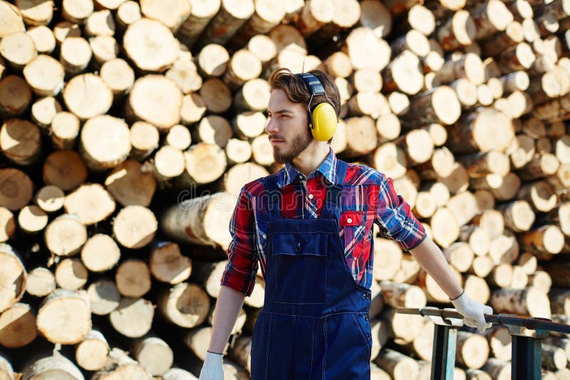 Lumber at work stock photo. Image of deforestation, agriculltural ...